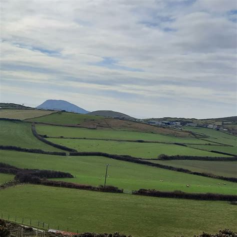 Gwyliaur Foel Holidays Foel R Posts X