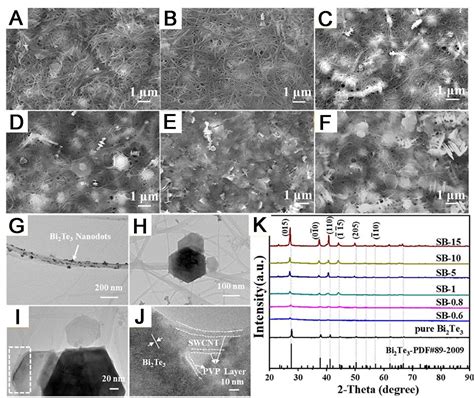 Vacuum Filtration Method Towards Flexible Thermoelectric Films
