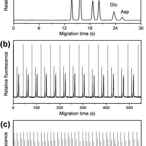 A A Typical Electropherogram Of A Mixture Of Five Fitc Labeled Amino