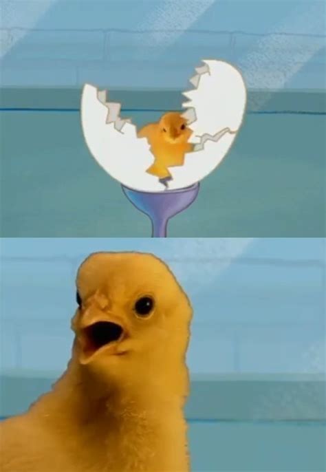 Spongebob I Had An Accident Face