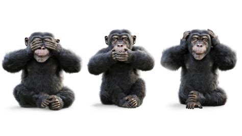 Caution Advised With Tandc Clauses Regulating Generative Ai Retarus Corporate Blog En