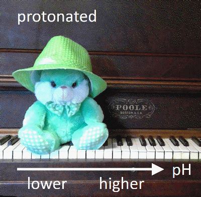 Analytical Chemistry Why Don T Universal Indicator Solutions React With Themselves