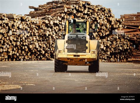 Front Loader For Loading Timber An Industrial Tractor Transports