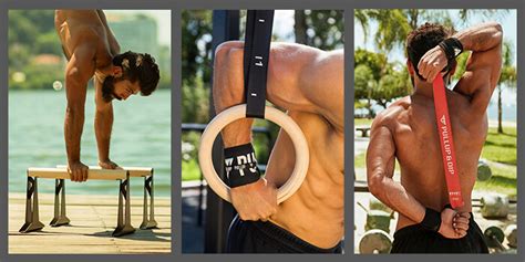 Dips Exercise Muscles Worked