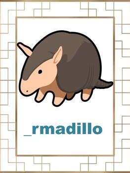 From Armadillo To Zig Zag 156 Unique And Fun ABC Flashcards TPT