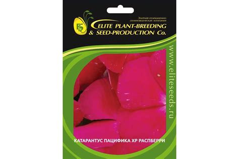 Семена ELITE PLANT-BREEDING & SEED PRODUCTION Co. Катарантус гибридный ...