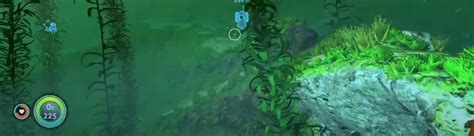 How To Get Stalker Teeth In Subnautica