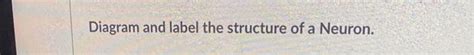 Solved Diagram And Label The Structure Of A Neuron Chegg