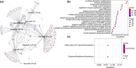 Identifying Dysregulated Cerna And Functional Enrichment Analysis A