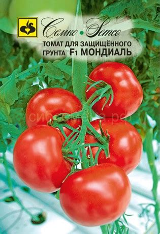 ТОМАТЫ — Семена для Сибири