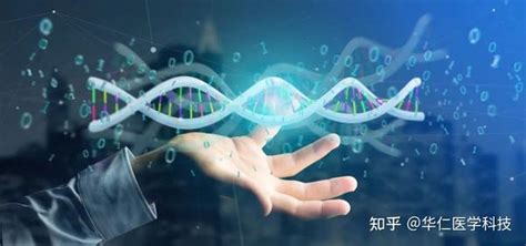 从青铜到王者,科研小白的进阶之路(4)——细胞划痕实验教程 知乎 从青铜到王者,科研小白的进阶之路(4)——细胞划痕实验教程 知乎