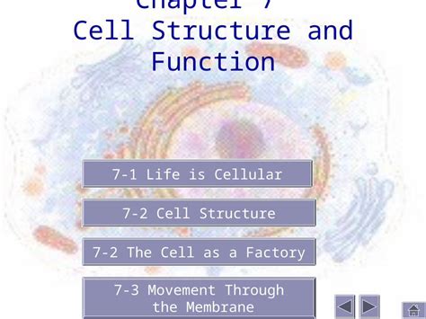 PPT Chapter 7 Cell Structure And Function 7 1 Life Is Cellular 7 2 Cell Structure 7 3 Movement