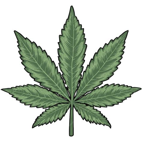 Detailed Green Cannabis Leaf Illustration Premium Ai Generated Vector