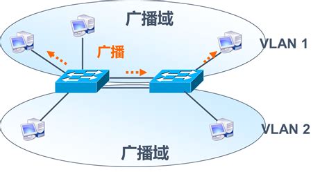 网络基础 VLAN虚拟局域网的理论讲解和配置 三种链路类型 vlan链路类型 CSDN博客