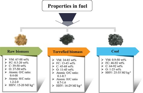 Fuel Properties Of Raw Biomass Torrefied Biomass And Coal Download
