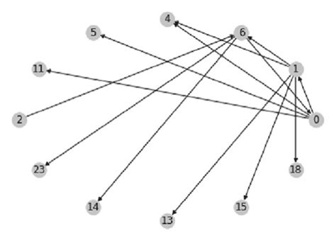 Network Structure And Contagion Process Of The Circular Liquidity Trap
