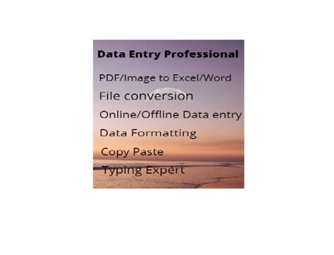 data entry and word to excel pdf to word excel conversion by