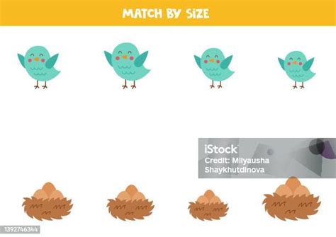 미취학 아동을위한 매칭 게임 크기에 따라 새와 둥지를 일치시킵니다 벡터에 대한 스톡 벡터 아트 및 기타 이미지 벡터 봄 퍼즐 Istock