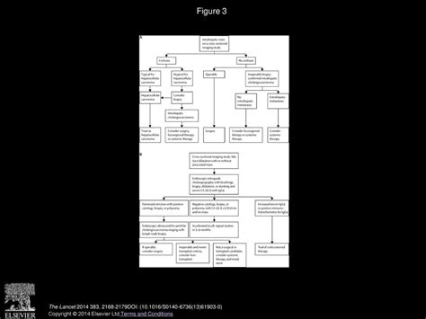 Cholangiocarcinoma The Lancet Ppt Download