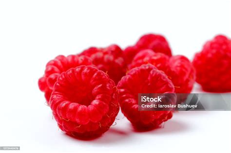 흰색 배경 밝은 자연 색상 눈부신 흰색 배경에 신선한 잘 익은 육즙 라즈베리의 산란 0명에 대한 스톡 사진 및 기타 이미지 0명 개체 그룹 건강한 생활방식 Istock