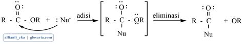 Mekanisme Reaksi Esterifikasi Dan Contohnya