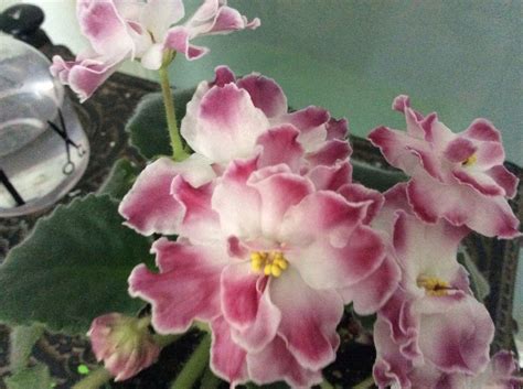 ცირა პატურაშვილი დაუნანებლად ვაღიაროთ ერთმანეთის სიკარგე ნიჭი ვაჟკაცობა გმირობა არ