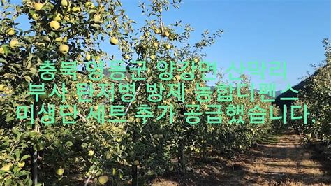 230908금 충북영동양강산막 양강면1호농가 사과부사탄저병방제추가공급 농합디펜스미생단세트 가조농약종묘사 01072582666 Youtube
