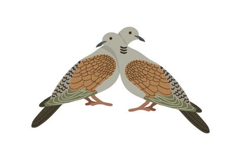 4 Turtle Doves Designs And Graphics