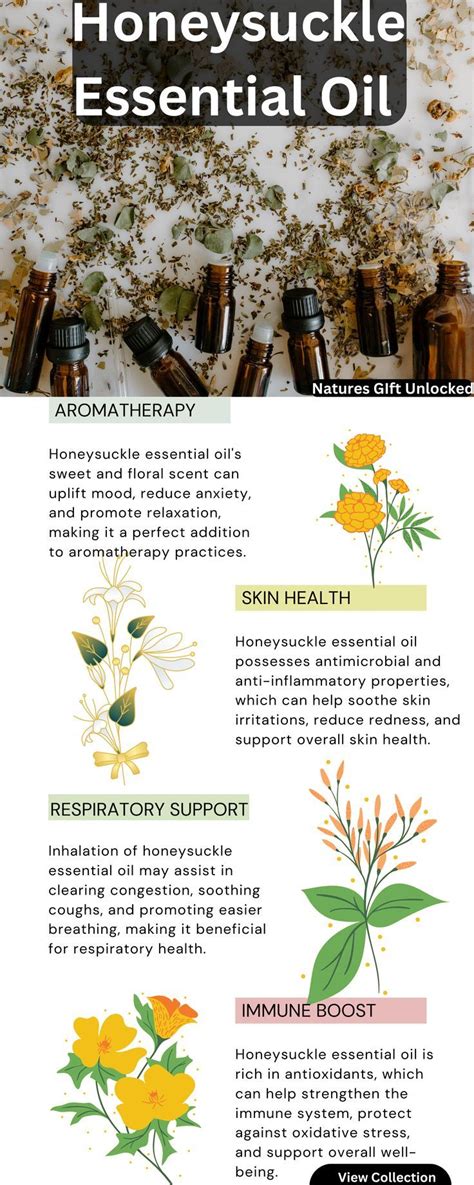 Honeysuckle Essential Oil Natures Fragrant Elixir