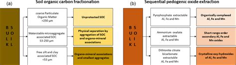 A Applied Soc Fractionation Scheme According To Stewart Et Al 2008 Download Scientific