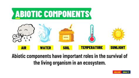 Components Of An Ecosystems Grade 7 Learnerspptx