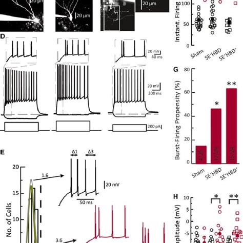 Passive Membrane Properties Of Immature Granule Cells Individual Download Scientific Diagram