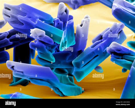 Morphine Coloured Scanning Electron Micrograph Sem Of Crystals Of