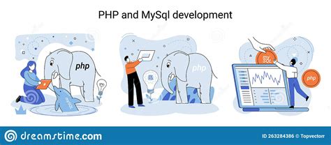 Php And Mysql Development Software Website Developer Programmer Service Programming Language