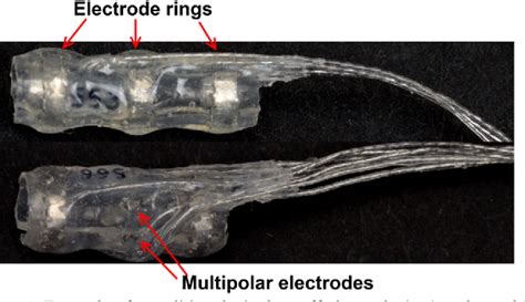 Figure 1 From Selective Peripheral Nerve Interfaces Selective