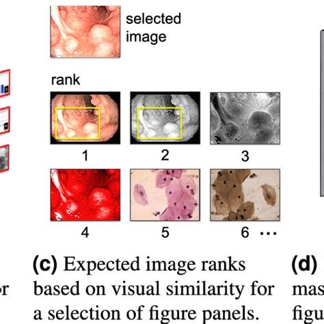 Examples Of The Implemented System Gui Components In A The