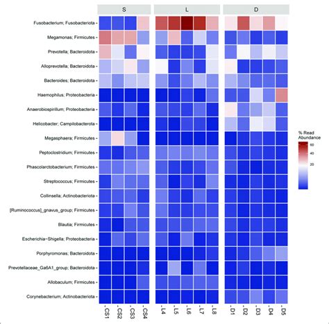 Heatmap Of Hierarchy Cluster Results For The Abundance Of Genus The