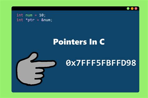 A Beginners Guide To Pointers In C Understanding The Basics By
