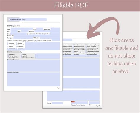 Birp Progress Note Psychotherapy Notes Therapy Tools Etsy