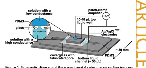 Figure 1 From Electroosmotic Flow Can Generate Ion Current