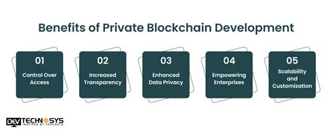 Private Blockchain Development In 2025 An Ultimate Guide