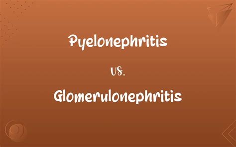Pyelonephritis Vs Glomerulonephritis Know The Difference