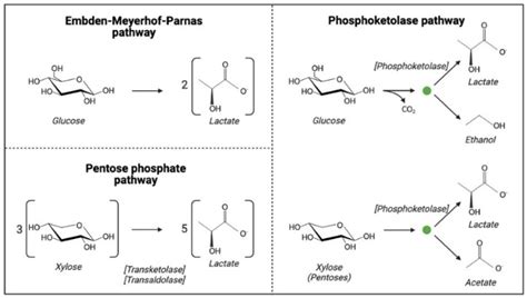Bioconversion Of Corn Crop Residues Encyclopedia Mdpi