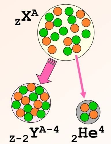 Physics Lecture 21 Radioactivity Flashcards Quizlet