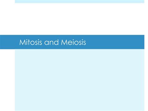 Mitosis Vs Meiosis Worksheet Doc