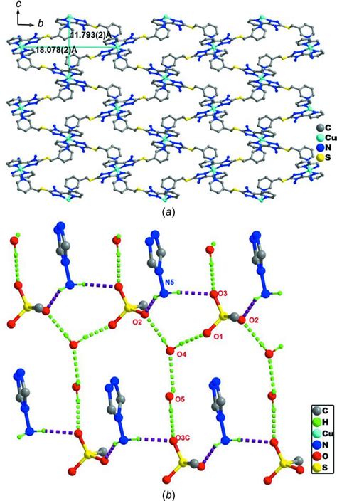 Iucr The Effect Of The Coordination Orientation Of N Atoms On Polymeric Structures Synthesis