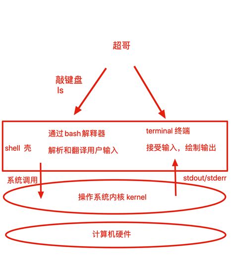 第五阶段：shell编程企业实战，完整版shell 企业用 Csdn博客