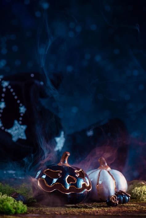 Top Photographer Dina Belenko Alamy Blog