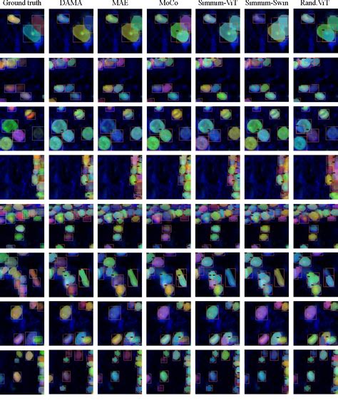 Figure 7 From Multiplexed Immunofluorescence Brain Image Analysis Using Self Supervised Dual